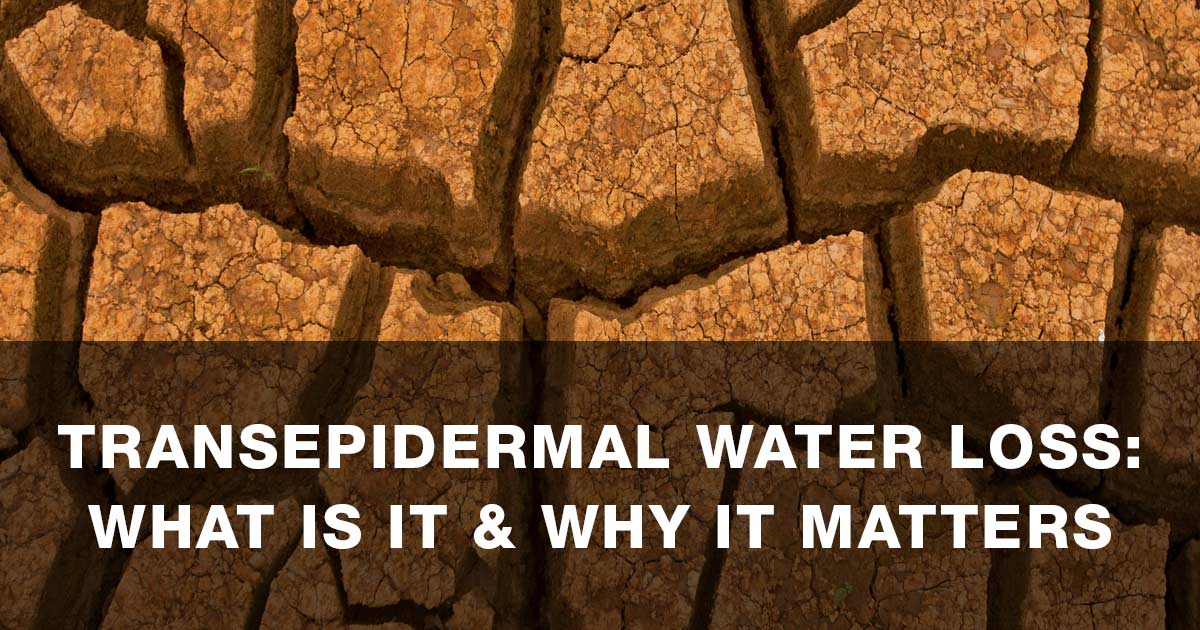Should You Care About Transepidermal Water Loss? • R10 Labs - 100% ...